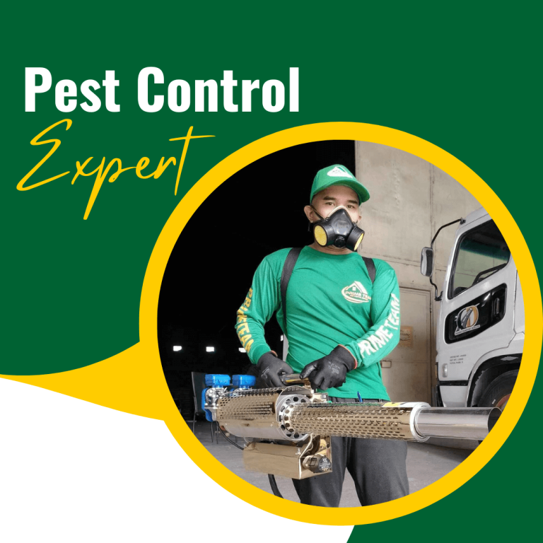 Prime Team – Pest Control